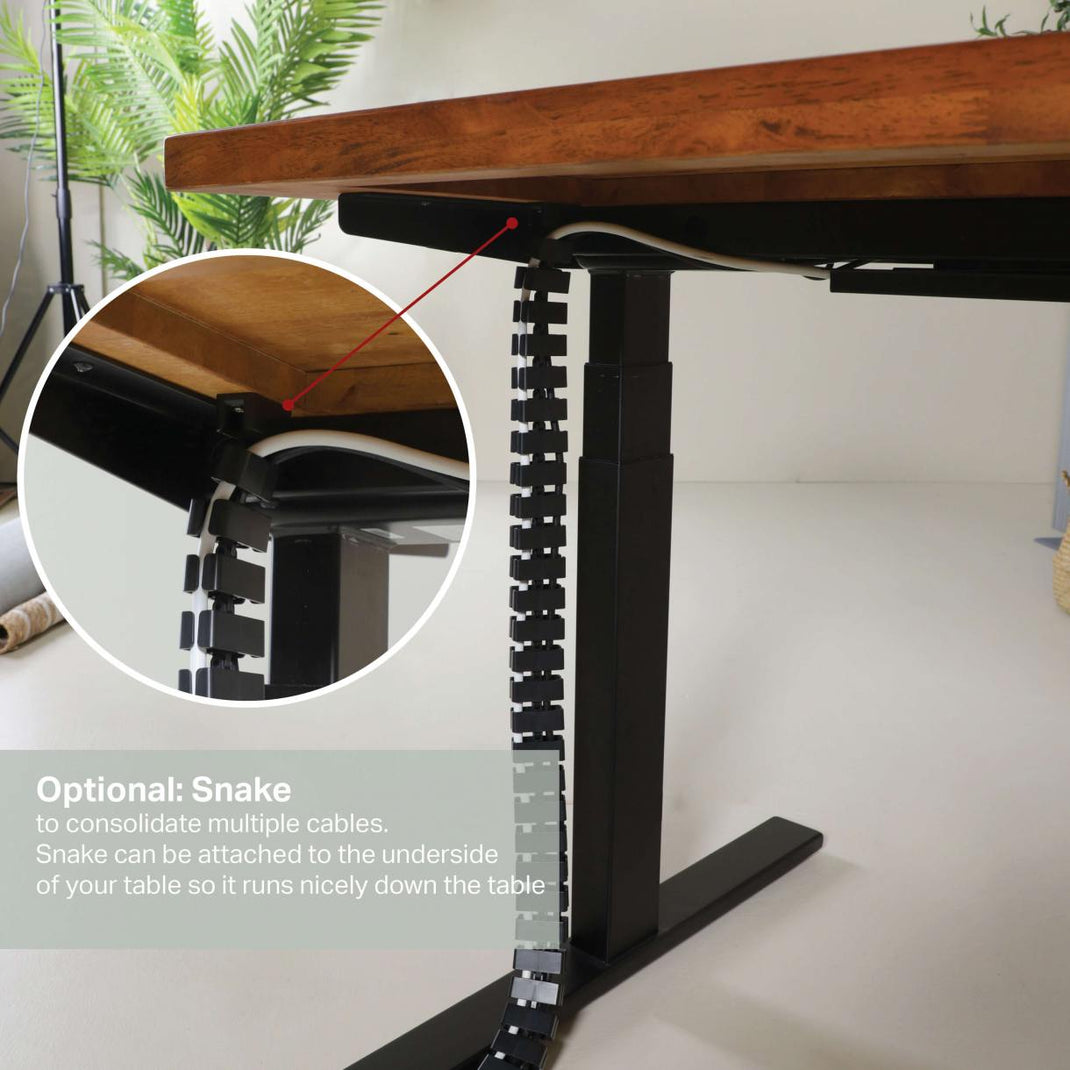 Interdesk Ergonomic Adjustable Standing Desk