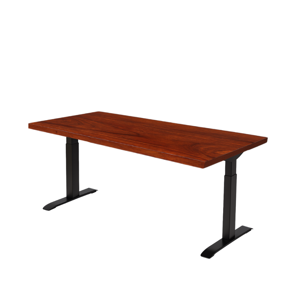 Custom Height Adjustable Standing Desks & Ergonomic Office Workspaces ...